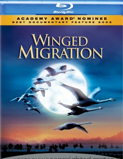 Winged Migration (Blu-ray 2001) | DVD Empire