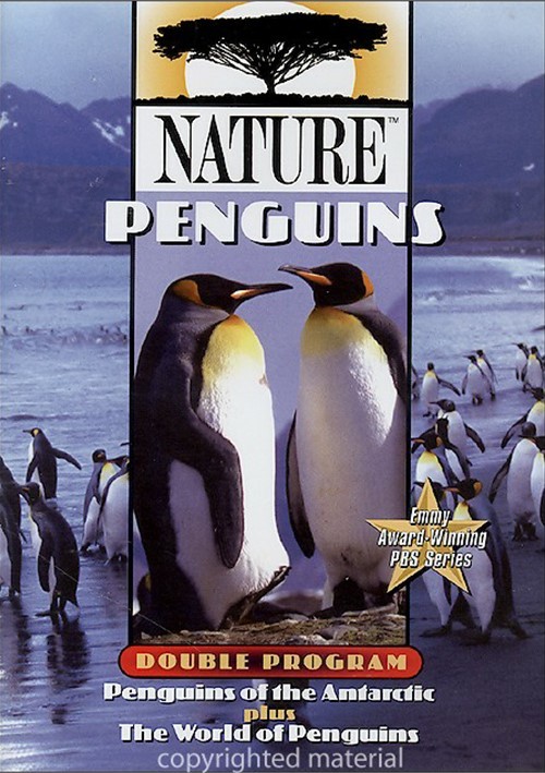 Nature: Penguins (DVD 2007) | DVD Empire