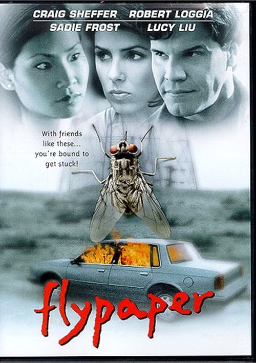 Flypaper (DVD 1997) | DVD Empire