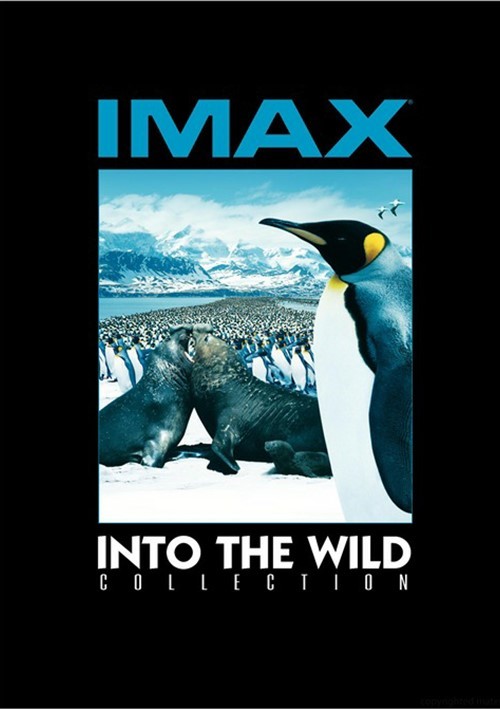 IMAX Into The Wild Collection (DVD) | DVD Empire