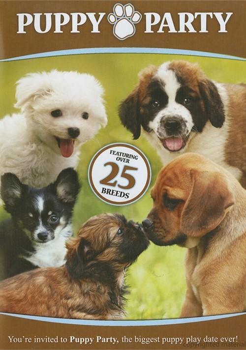Puppy Party (DVD) | DVD Empire