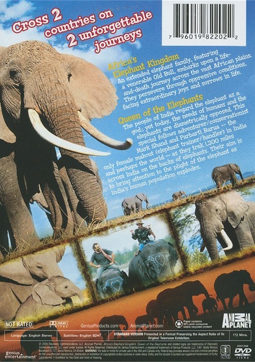 Elephants (DVD) | DVD Empire