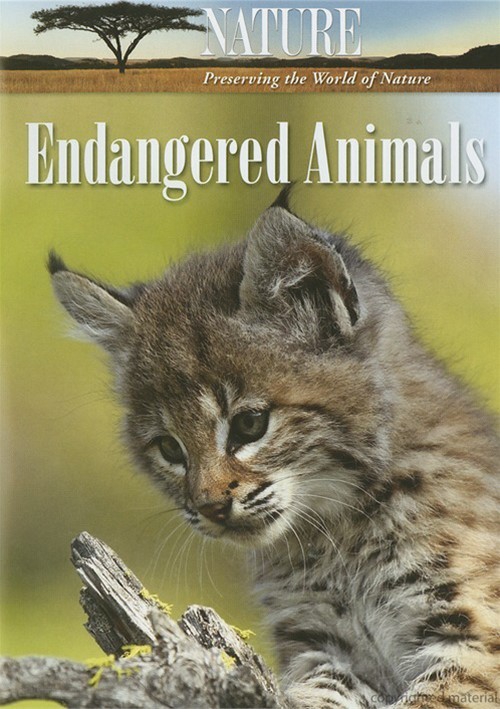 Nature: Endangered Animals (DVD) | DVD Empire
