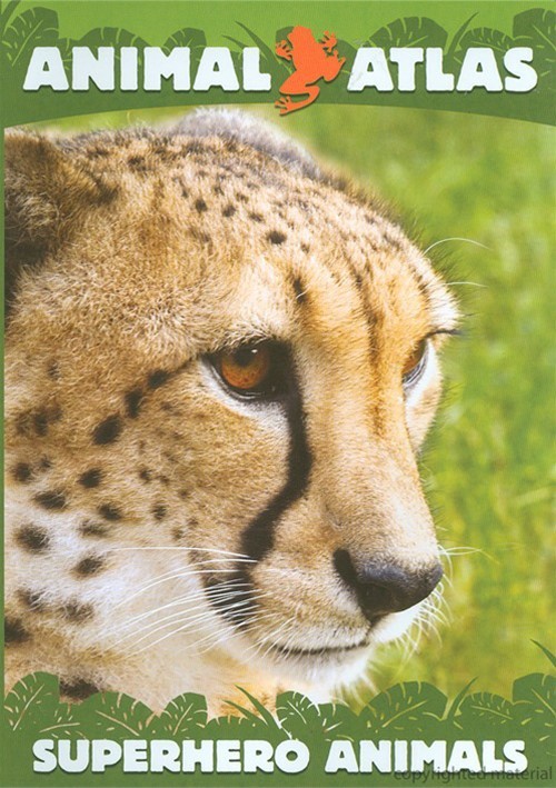 Animal Atlas: Superhero Animals (DVD 2010) | DVD Empire