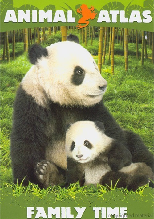 Animal Atlas: Family Time (DVD) | DVD Empire