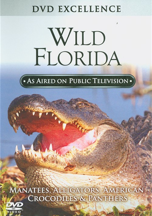 Wild Florida (DVD 2006) | DVD Empire