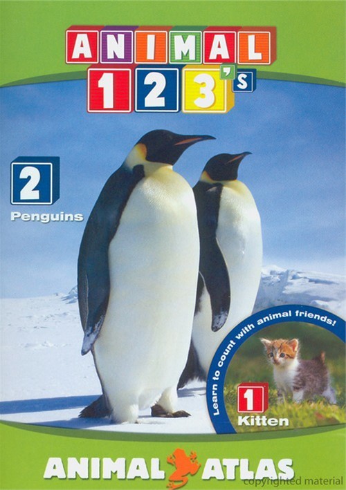 Animal Atlas: Animal 123's (DVD) | DVD Empire