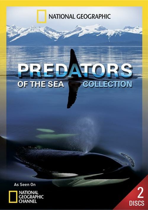 National Geographic: Predators Of The Sea Collection (DVD) | DVD Empire