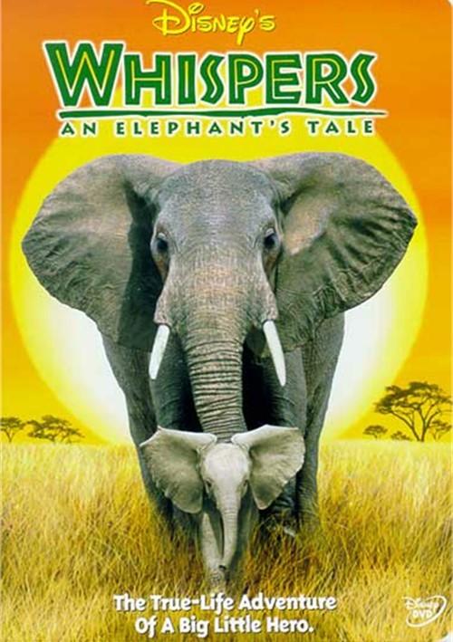 Whispers: An Elephant's Tale (DVD 2000) | DVD Empire