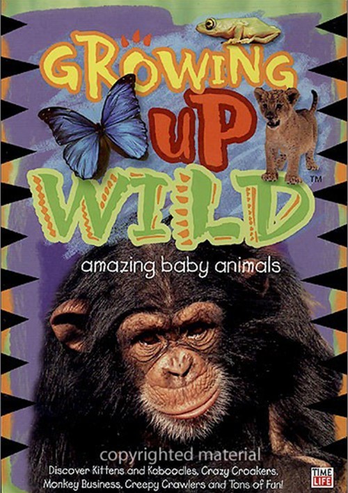 Growing Up Wild: Amazing Baby Animals (DVD 1992) | DVD Empire