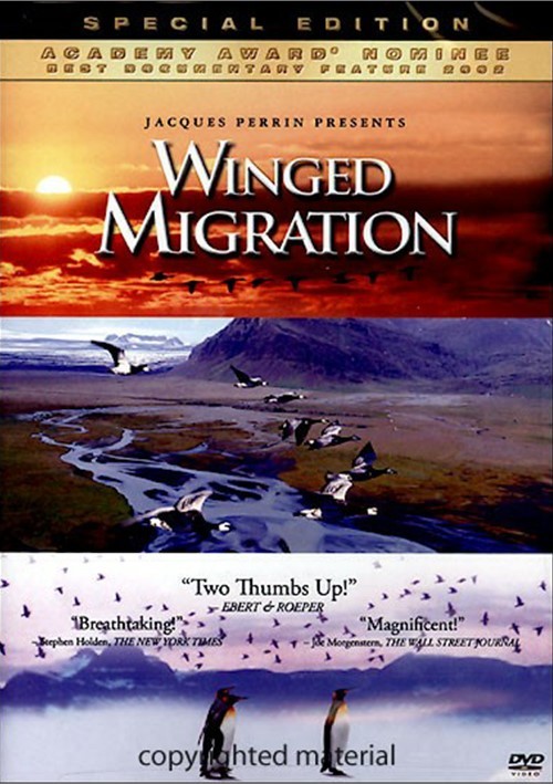 Winged Migration (DVD 2001) | DVD Empire